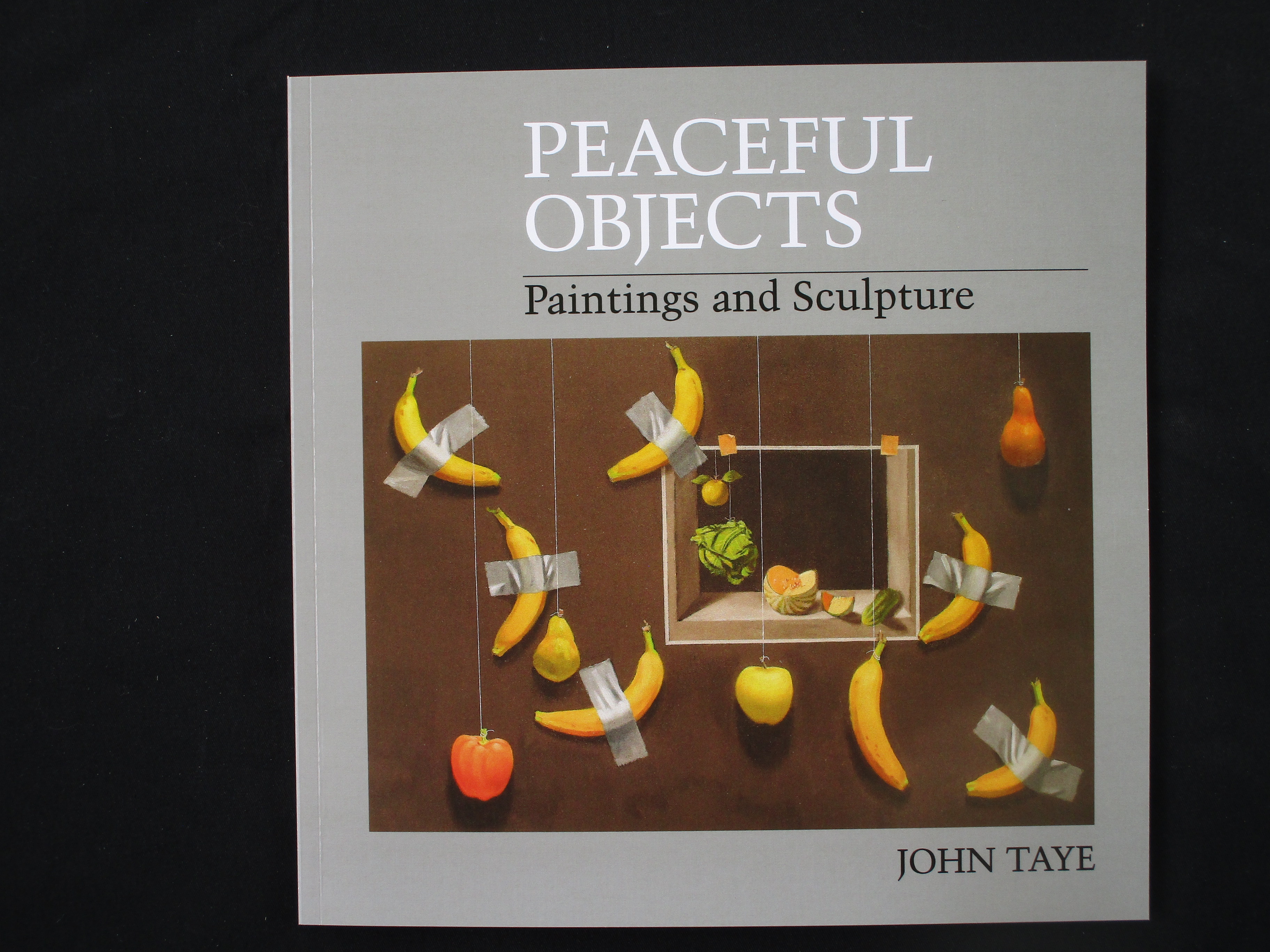 New book on still life – John Taye Art